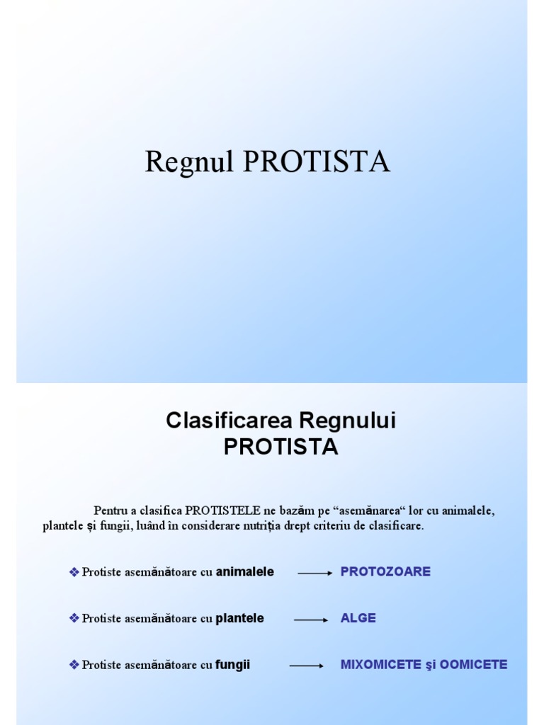 Regnul - Protista F | PDF