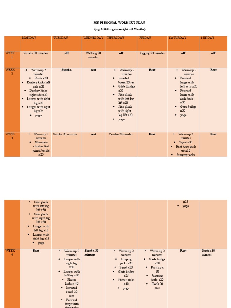 Workout Plan and Exercises | PDF | Physical Exercise | Physical Fitness