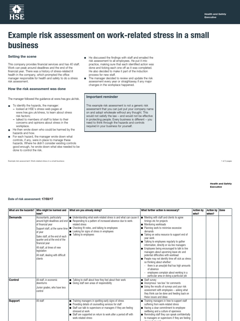 Hse Stress Template | PDF | Occupational Stress | Risk