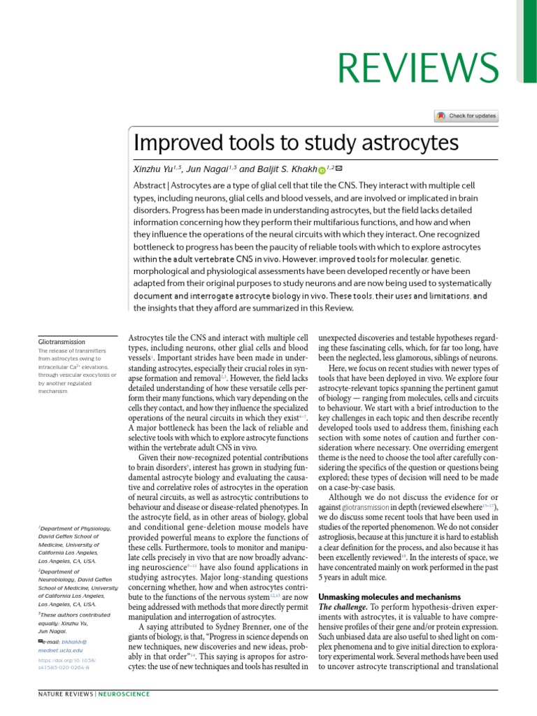 Nat Neurosci Rev 2020 Astrocyte Tools | PDF | Astrocyte | Gene Expression