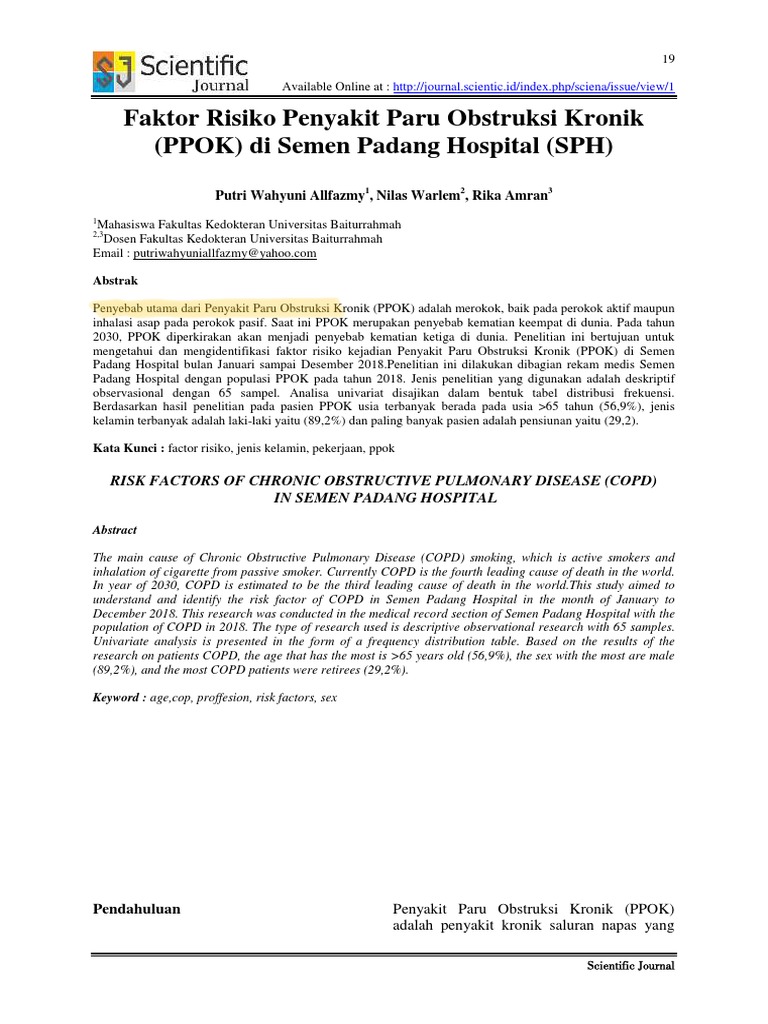 Faktor Risiko Penyakit Paru Obstruksi Kronik (PPOK) Di Semen Padang Hospital (SPH) | PDF