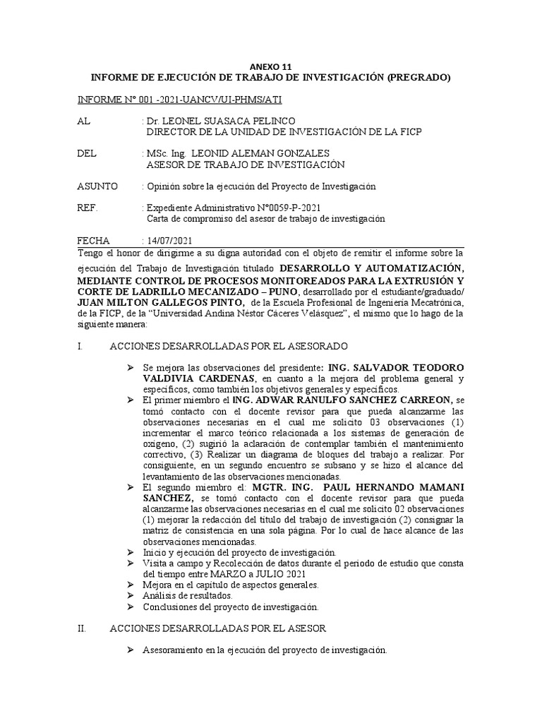 Anexo 11 Informe Final2 | PDF
