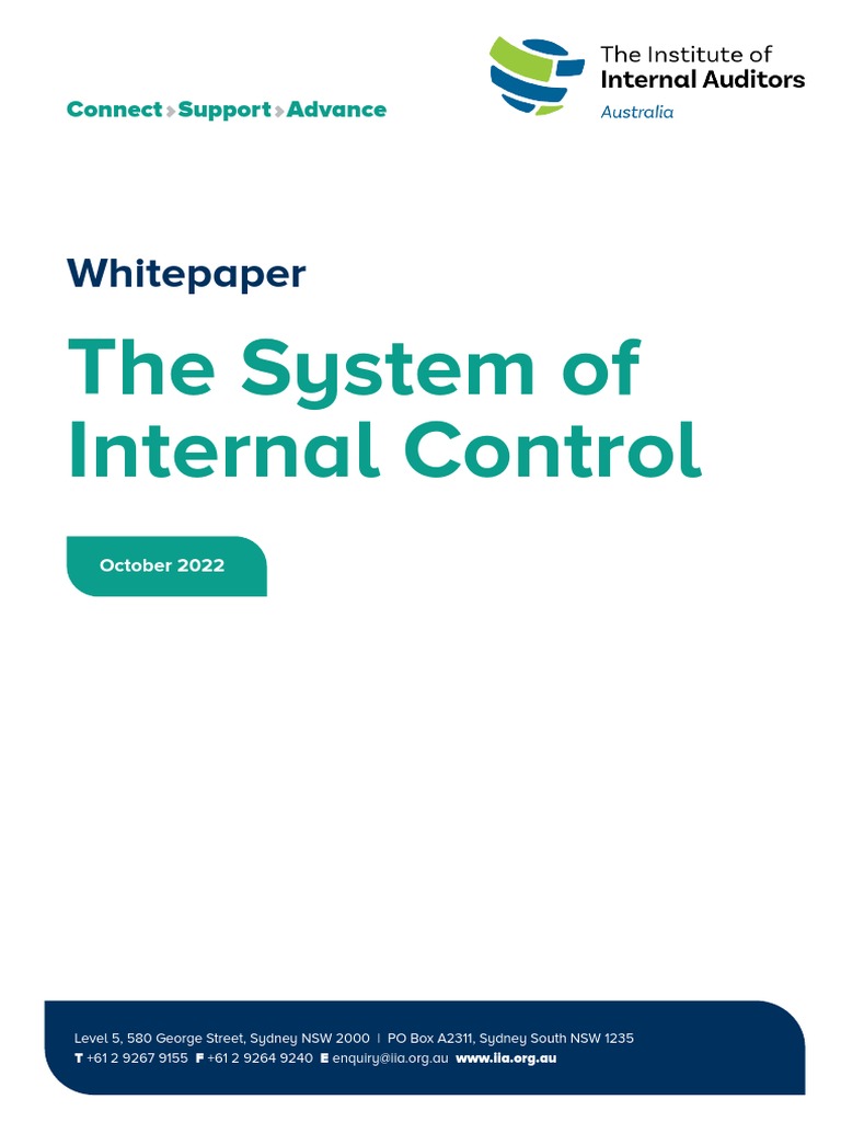 Iia Whitepaper - The System of Internal Control | PDF | Internal Control | Internal Audit