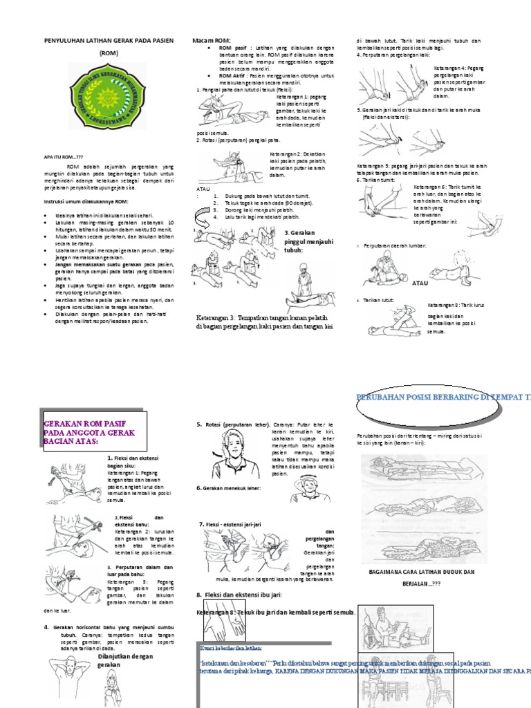 LEAFLET ROM Hus | PDF
