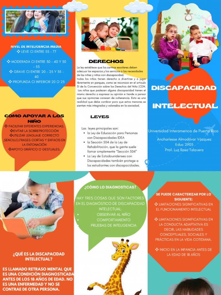 Opusculo Discapacidad Intelectual | PDF