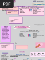 Mapa Clamidia | PDF