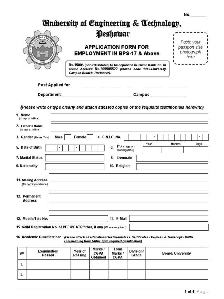 Job Application Form For BPS-17&above | PDF