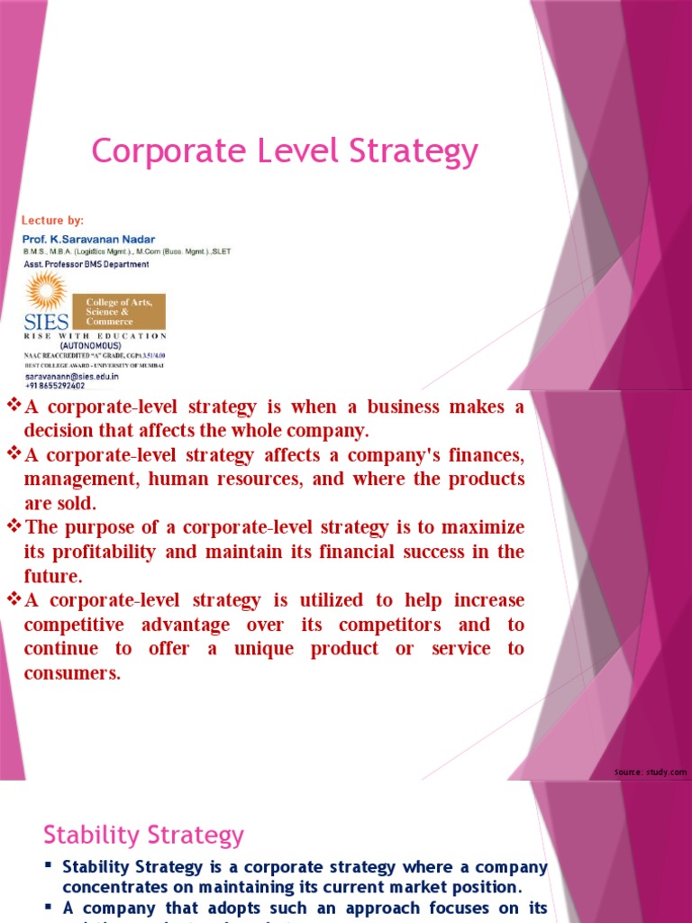 Stability Strategy | PDF | Business