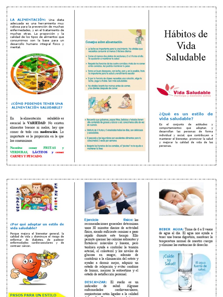 Triptico de Vida Saludable 2 | PDF | Alimentos | Dieta saludable