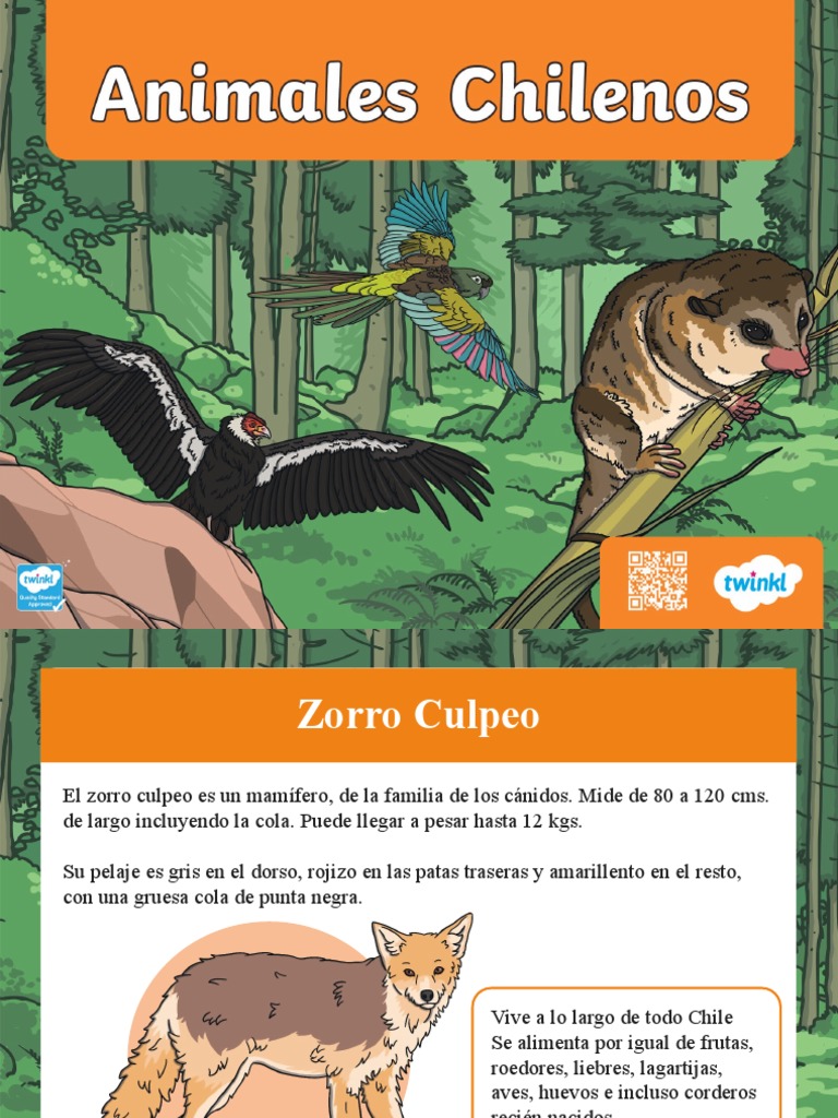 Especies representativas de la fauna silvestre de Chile | PDF | Aves ...