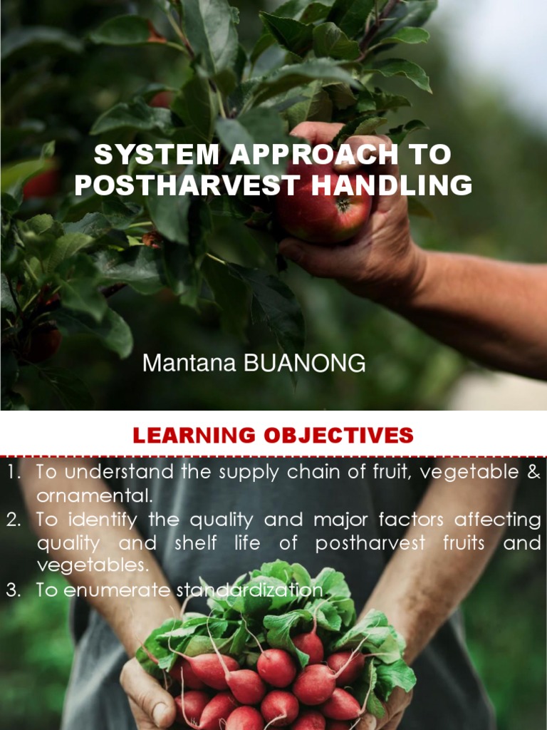 System Approach To Postharvest Handling | PDF | Postharvest | Food Safety