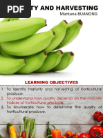 Understanding Crop Maturity Indices | PDF | Fruit | Postharvest