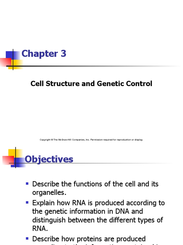 Cell Structure and Genetic Control | PDF | Translation (Biology) | Mitosis