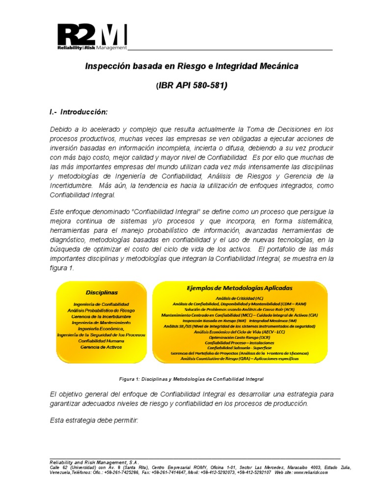 Api 580 y 581 | PDF | Toma de decisiones | Proceso de desarrollo de ...