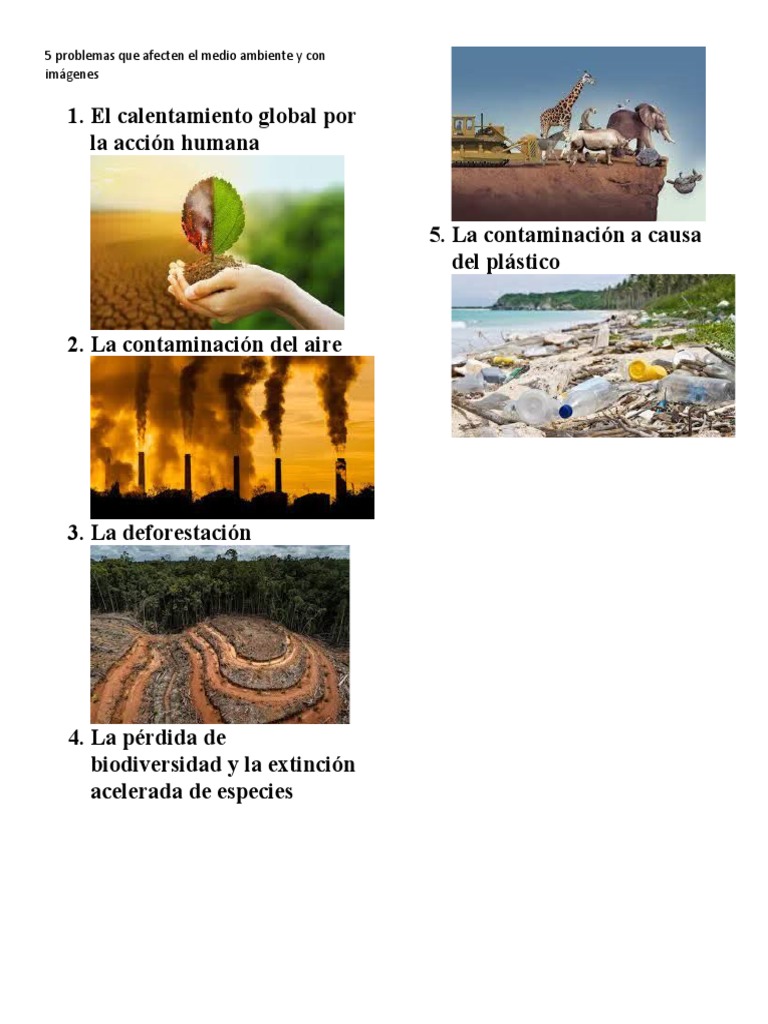 5 Problemas Que Afecten El Medio Ambiente y Con Imágenes | PDF | Liderazgo