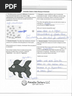 Amoeba Sisters - Intro To Cells Recap | PDF | Cell (Biology ...