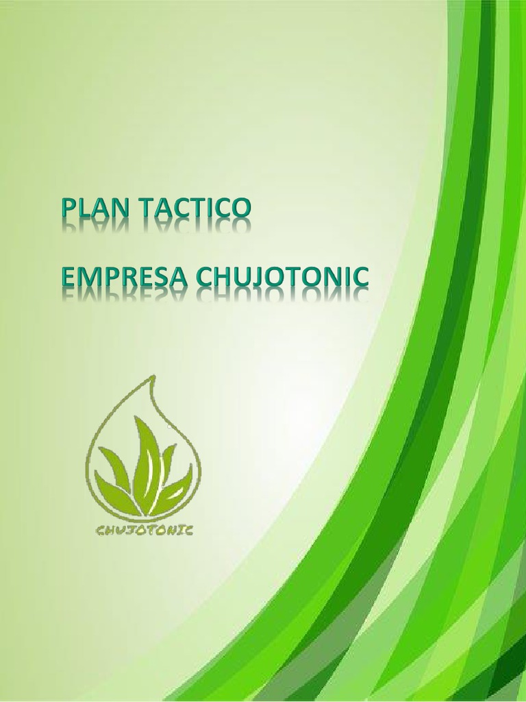 Plan Tactico | PDF | Business | Presupuesto