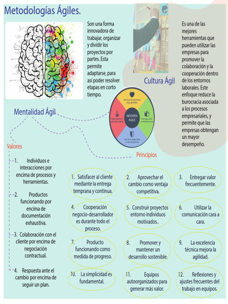 Infografía Metodología Ágil | PDF | Business | Economias