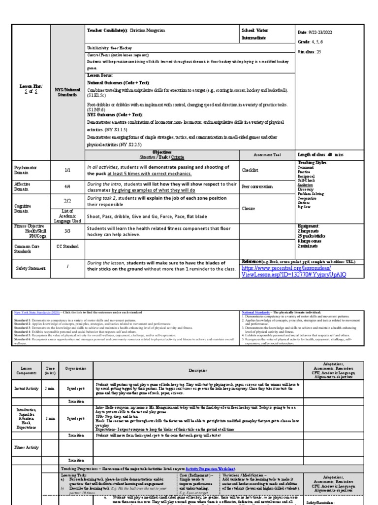 Vis Floor Hockey 5 Gameday Udl | PDF | Lesson Plan | Cognitive Science
