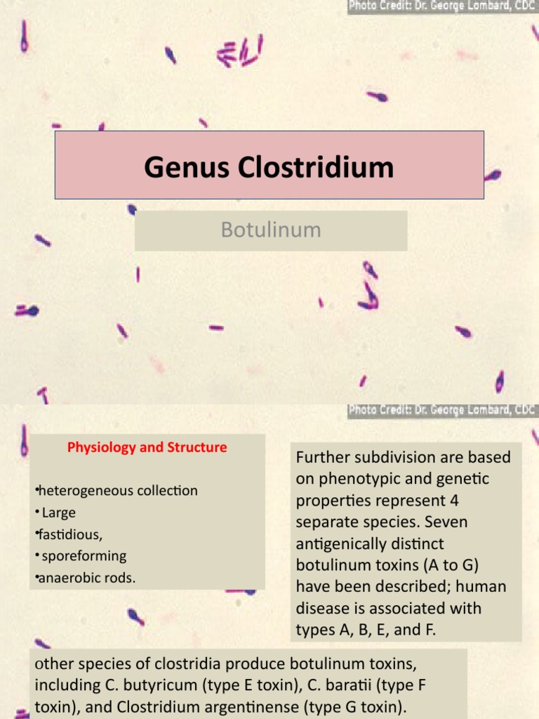Clostridium Botulinum Overview | PDF | Botulinum Toxin | Medical ...