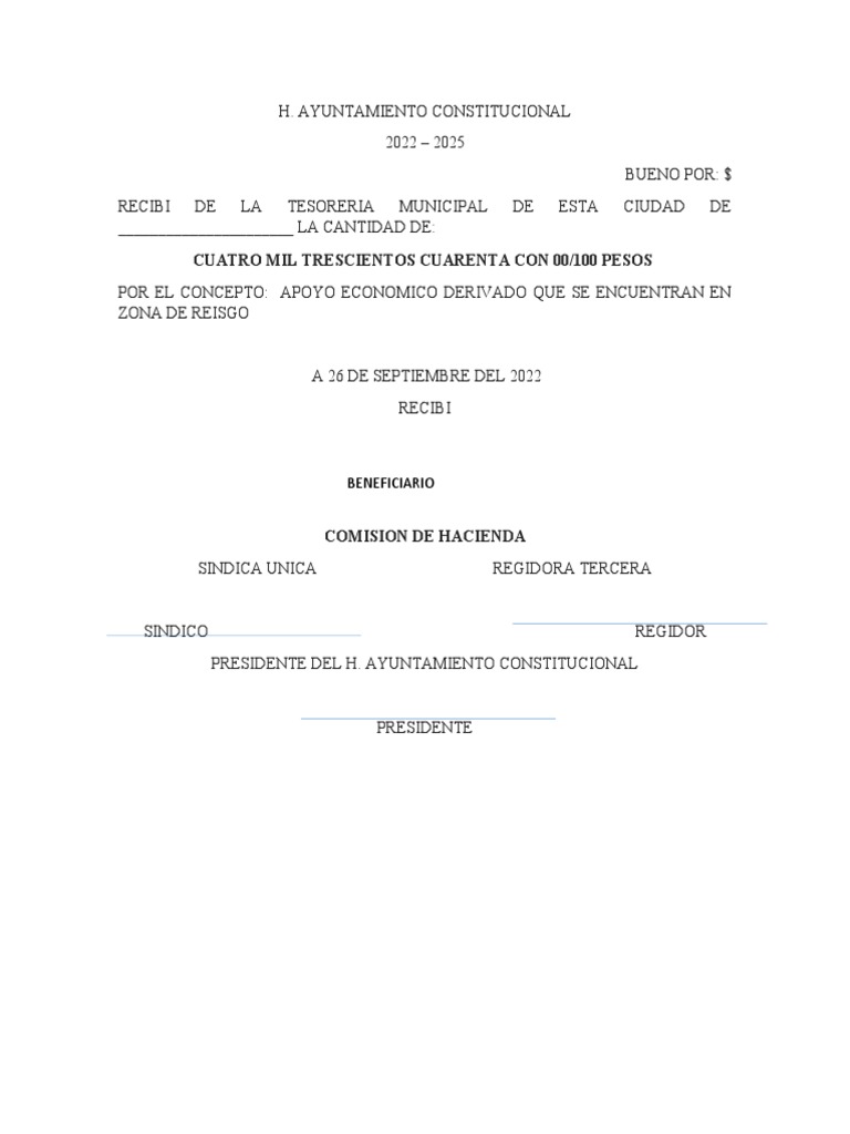 Fmto Apoyo Economico | PDF