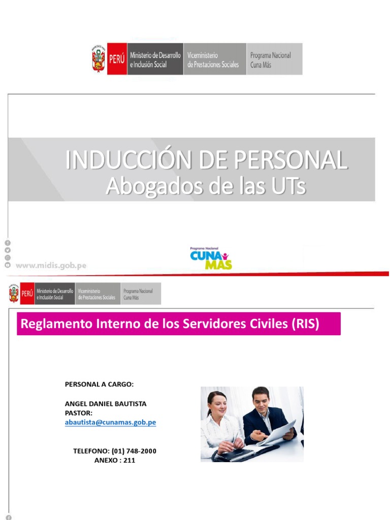 Alcances Del RIS | PDF | Derecho laboral | El proceso de destitución