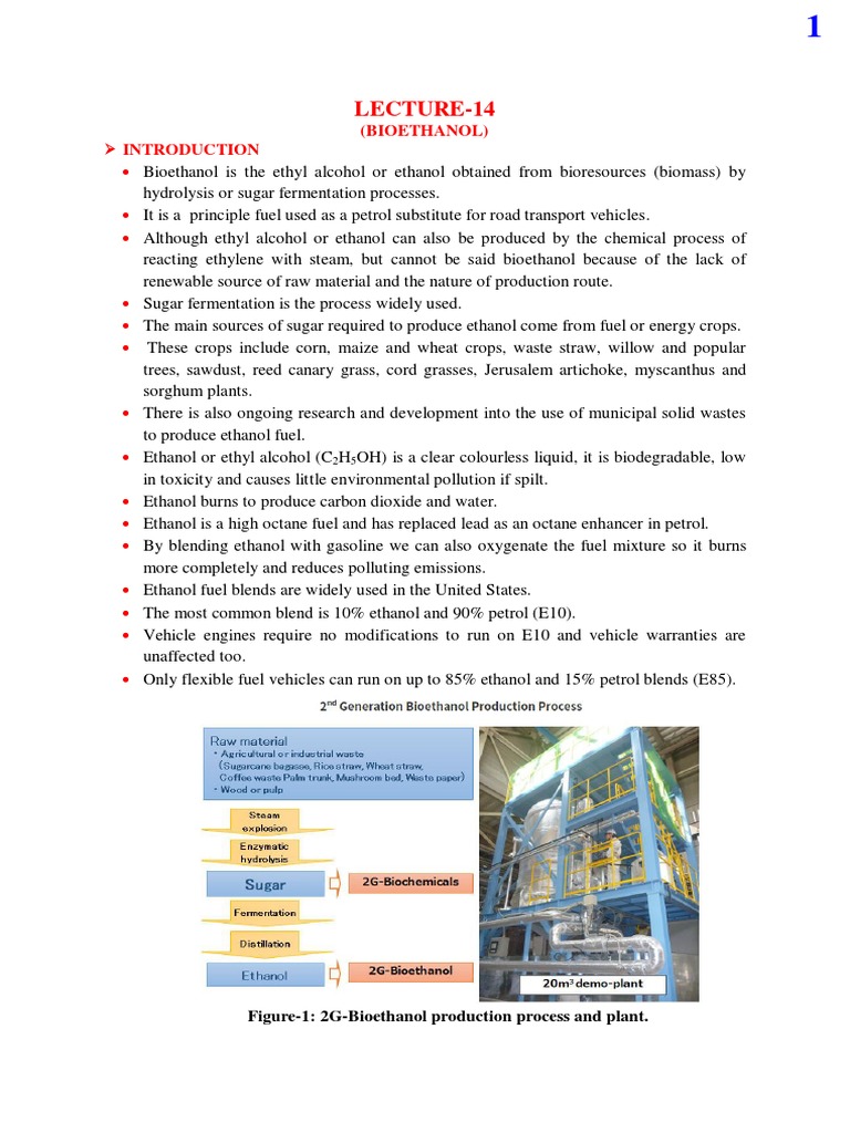 Bioethanol Production Notes | PDF | Ethanol Fuel | Ethanol