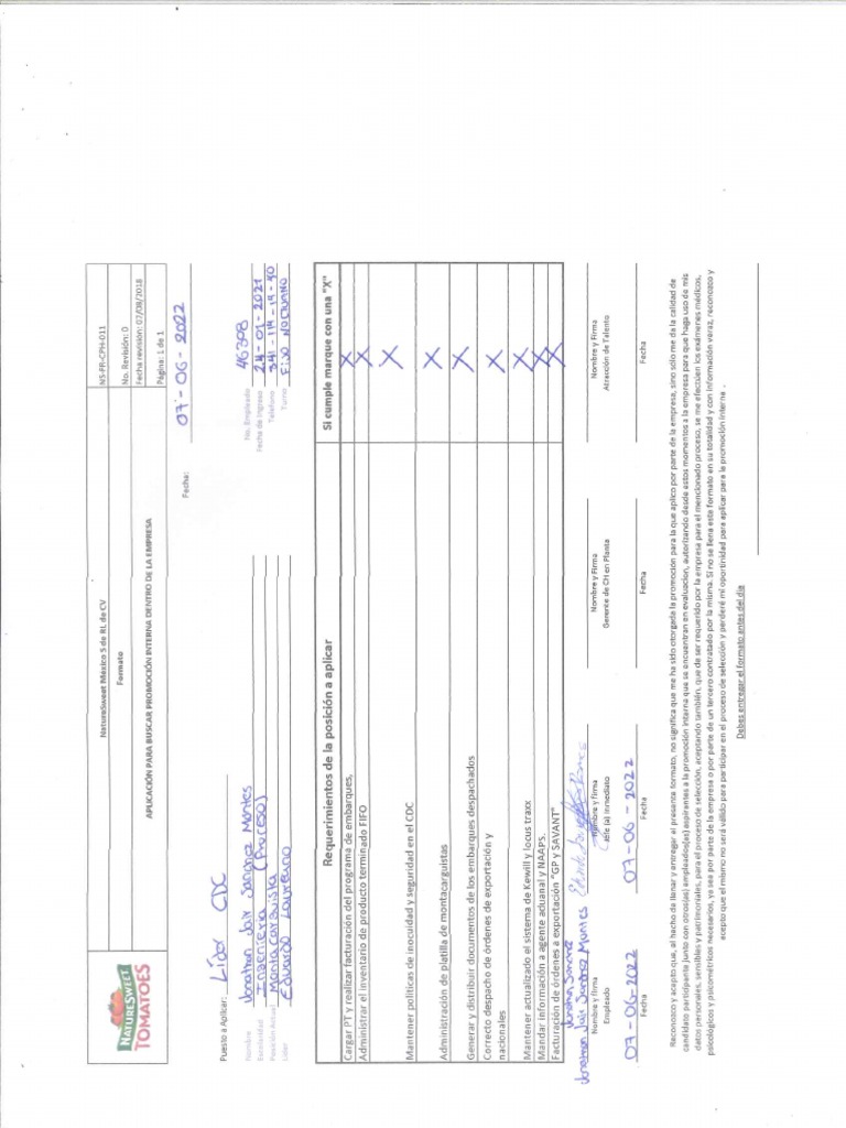 Formato de Aplicacion de Promocion Interna | PDF
