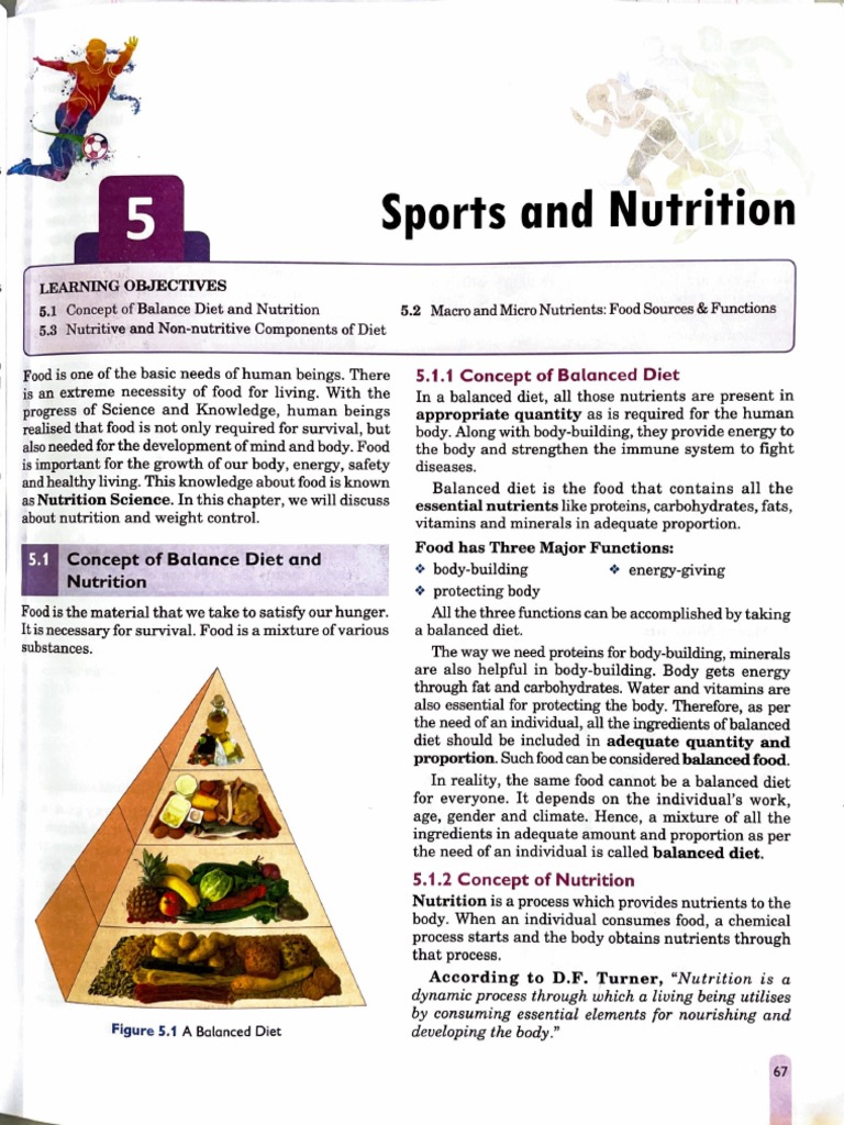 Sports and Nutrition Physical Educatin Class 12 | PDF | Nutrients ...