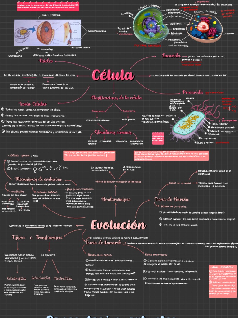 Biologia Celular | PDF