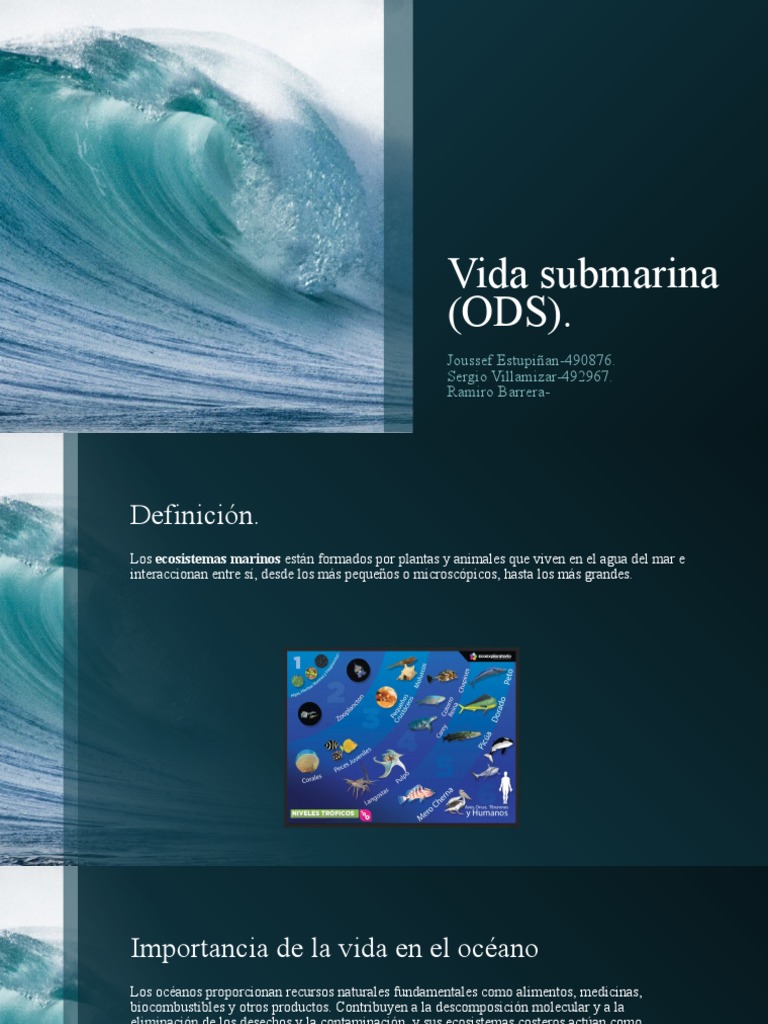 Vida Submarina (ODS) | PDF | Mar | Residuos
