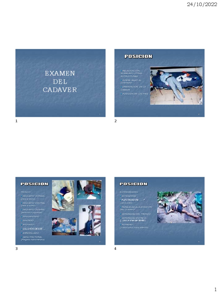 Resumen Examen Del Cadaver | PDF | Términos anatómicos de ubicación ...