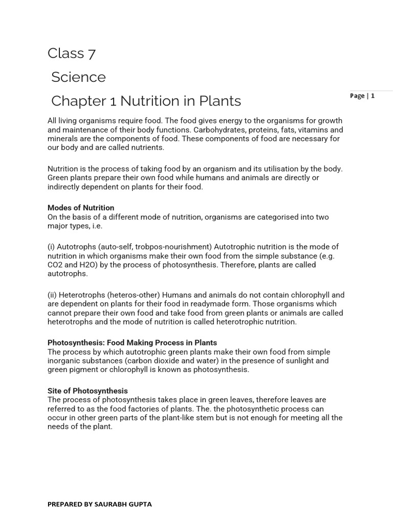Class 7 SCIENCE CH 1 | PDF | Plants | Photosynthesis