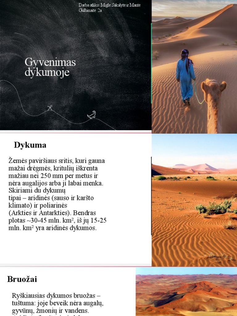 Gyvenimas Dykumoje | PDF