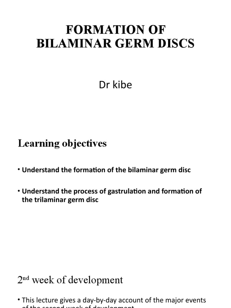 Formation of Bilaminar Germ Discs | PDF | Wellness | Science & Mathematics