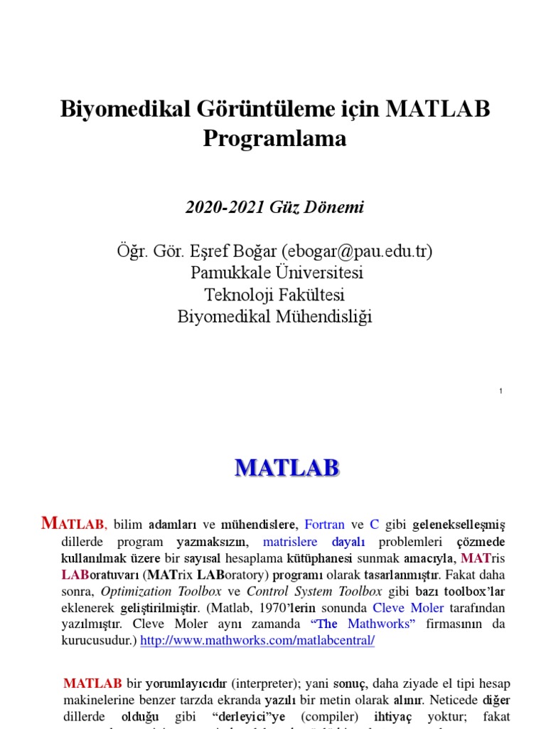 Biyomedikal Görüntüleme MATLAB | PDF