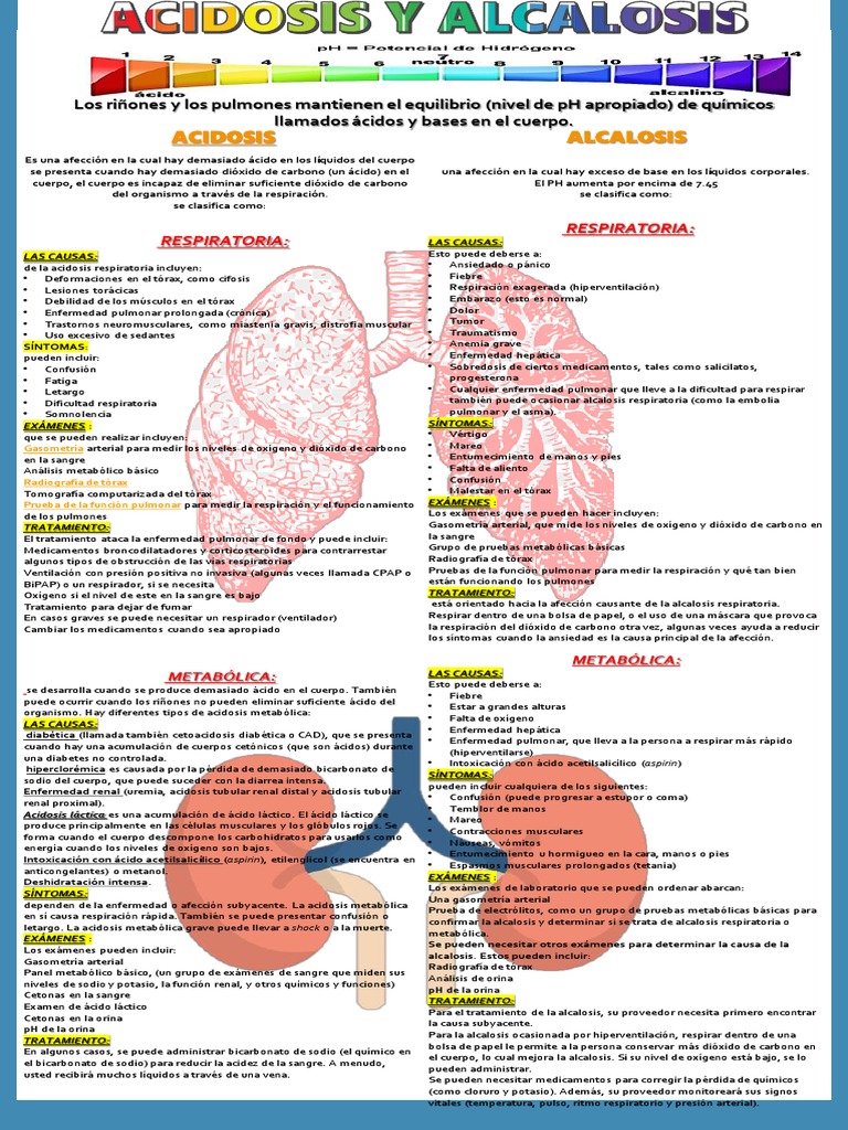 Acidosis Y Alcalosis Causas Y Tratamientos Pdf Respiración