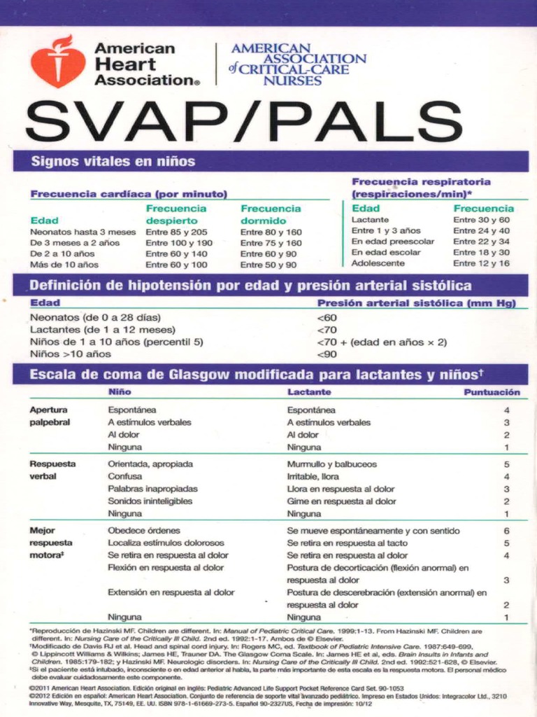 PALS Triptico | PDF