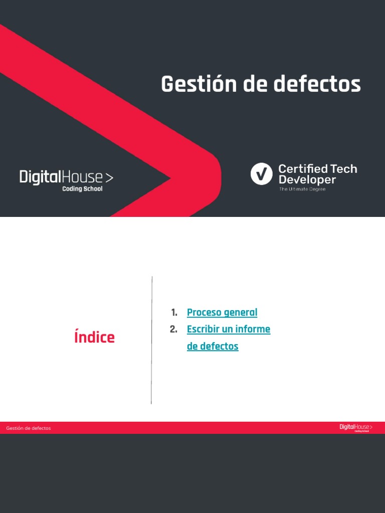 Guía para la Gestión de Defectos | PDF | Error de programación ...