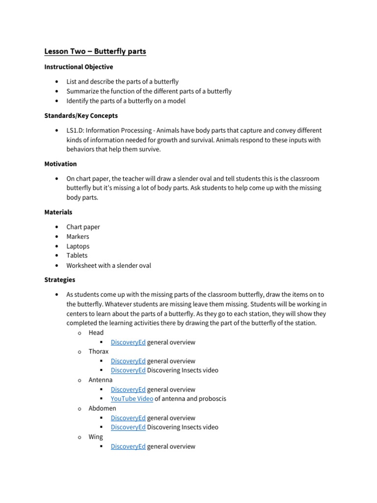 Butterfly Parts and Functions Worksheet | PDF | Learning | Butterfly