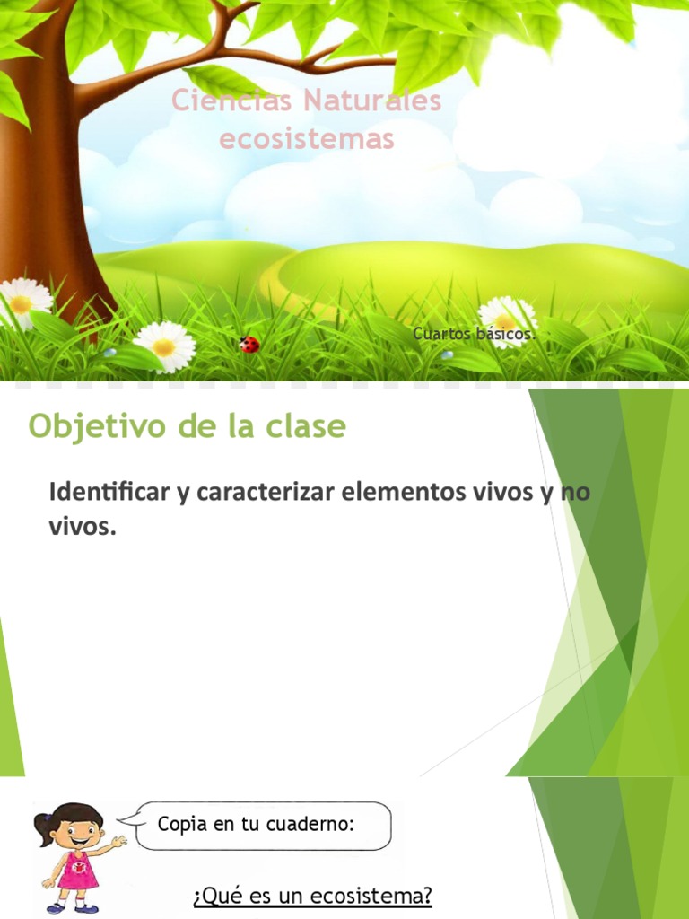 Los Ecositemas | Descargar gratis PDF | Ecosistema | Organismos
