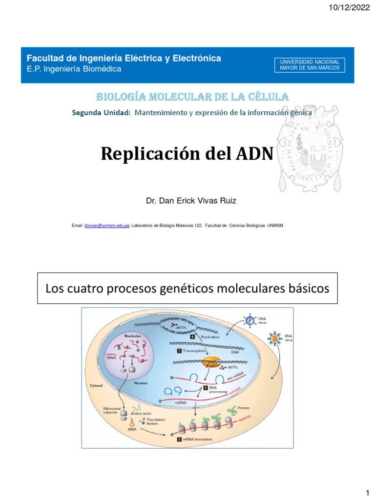Replicación Del DNA | PDF | Replicación De Adn | Adn