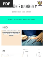 Funcion de Las Uniones GAP en La Union Interceluar | PDF | Biología ...