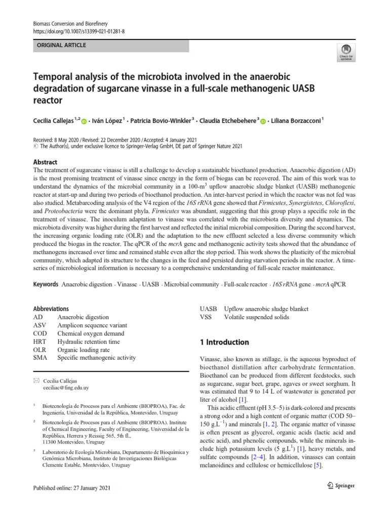 Degradation of Sugarcane Vinasse in A Full-Scale Methanogenic UASB | PDF | Anaerobic Digestion ...