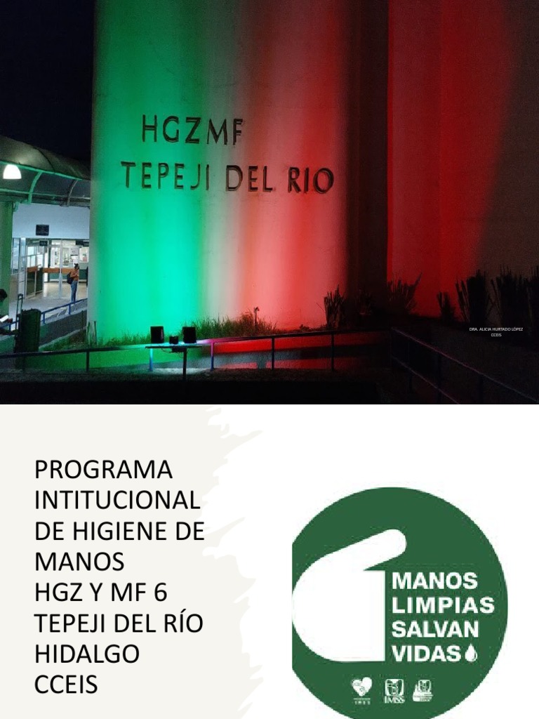 PIHMA | PDF | Lavado de manos | Ciencias de la Salud