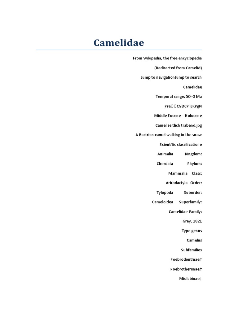 Camelidae | PDF | Even Toed Ungulates | Mammal Families