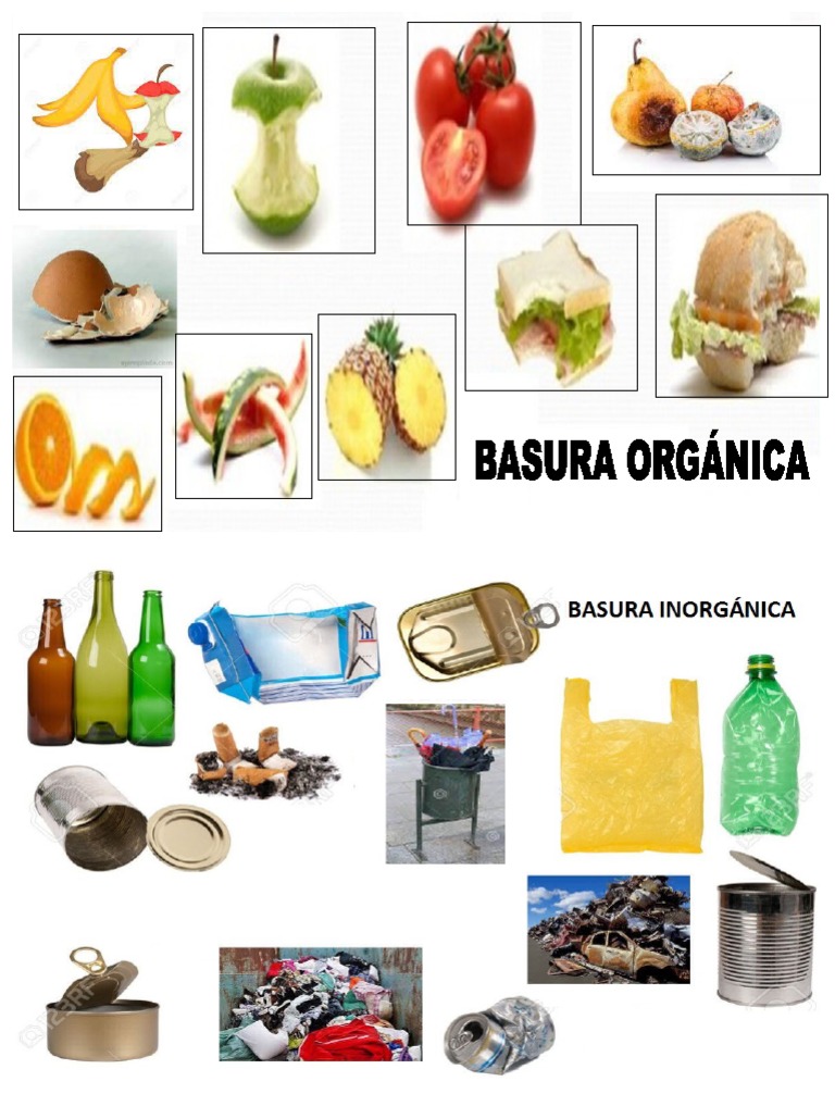 Basura Organica e Inorganica | PDF