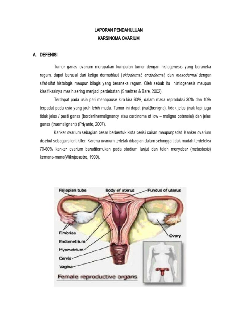 LP Ca Ovarium Baru | PDF