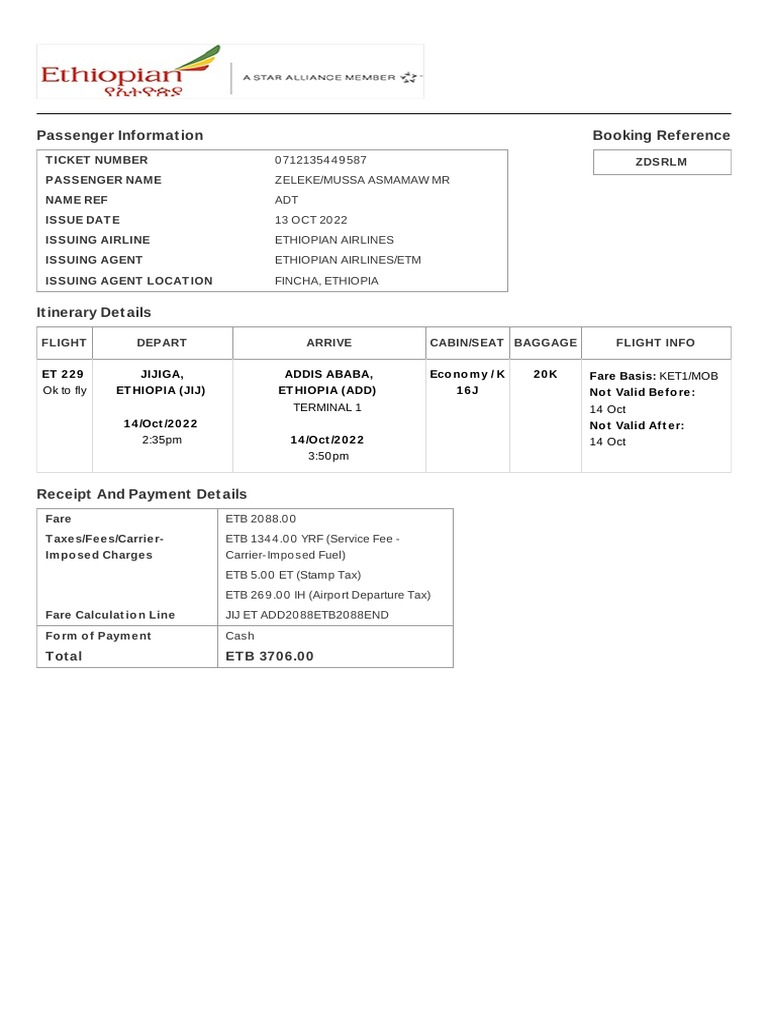 Electronic Ticket Receipt, October 14 For MR MUSSA ASMAMAW ZELEKE | PDF ...