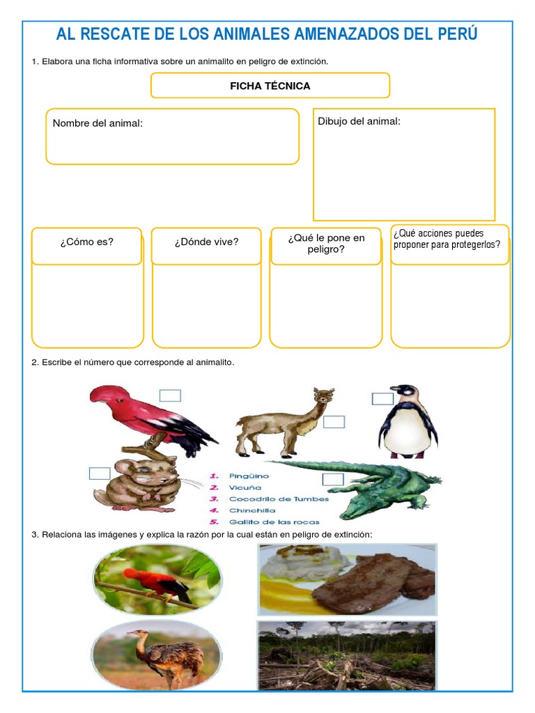 Ficha de Personal Social 14-09 Rescate de Los Animales Amenazados Del Perú | PDF | Extinción